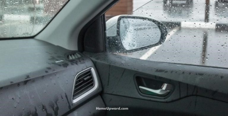 How To Remove Mold And Mildew From Your Car Interior