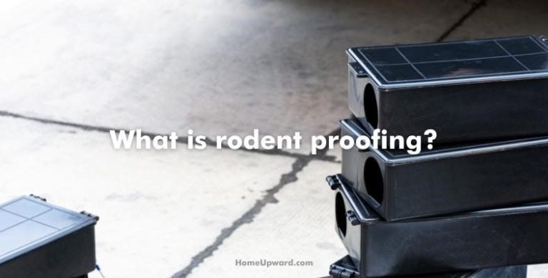 What Is Rodent Proofing?